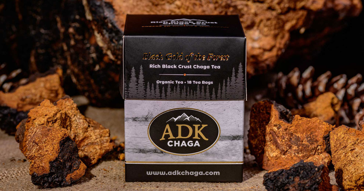 Wild Chaga Mushrooms from the Adirondack Mountains ⋆ ADK Chaga
